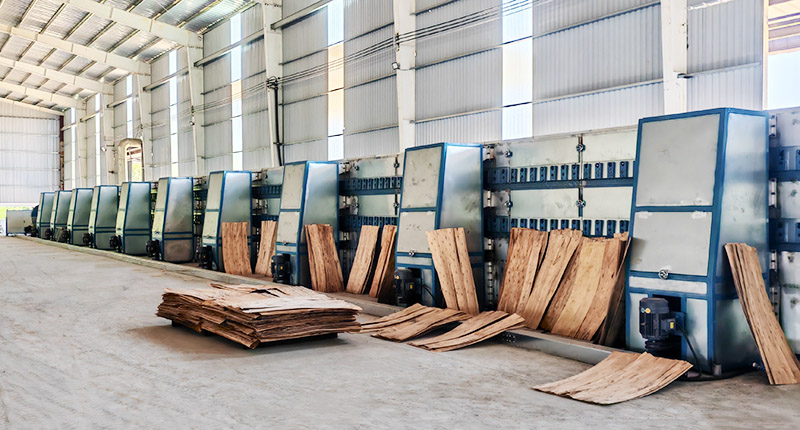 Veneer Drying Solution for Wood Processing - Shine Machinery Co., Ltd
